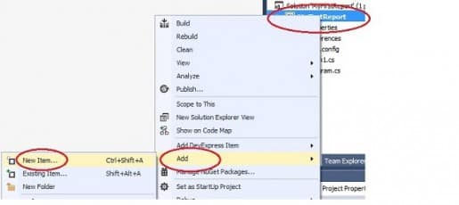 How to Create Crystal Report using Visual Studio
