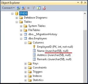 StringLength Attribute in Entity Framework - Tektutorialshub