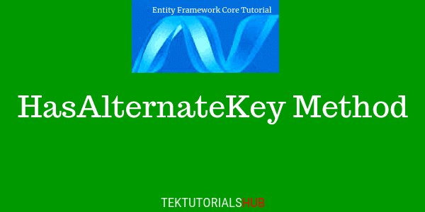 Entity Framework Core HasAlternateKey Method - Tektutorialshub Entity Framework Core HasAlternateKey Method - Tektutorialshub