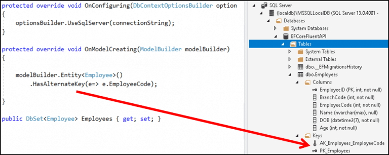 Entity Framework Core Hasalternatekey Method Tektutorialshub