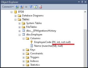 Haskey Method In Ef Core Tektutorialshub
