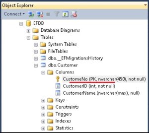 Data Annotations Key Attribute in EF Core - TekTutorialsHub