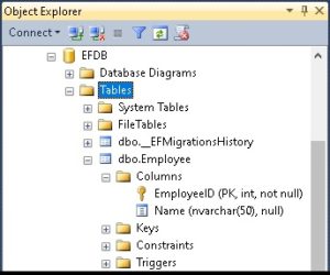 MaxLength/MinLength Attribute in EF Core - Tektutorialshub